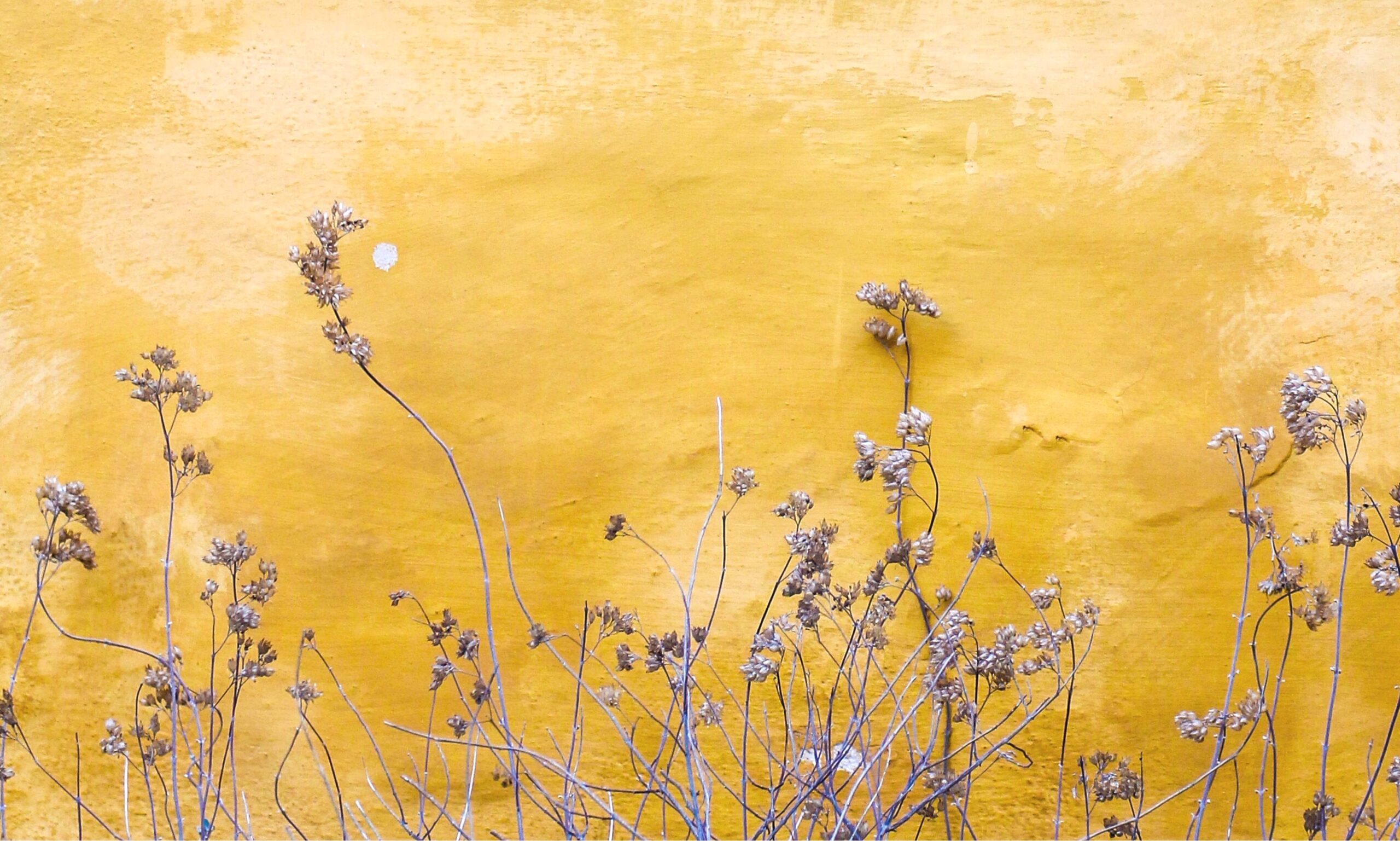 (We are) Bridget – design och kommunikation